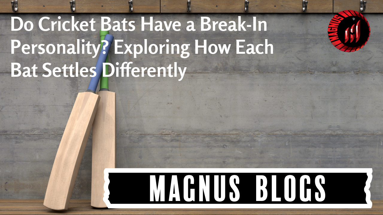Do Cricket Bats Have a Break-In Personality? Exploring How Each Bat Se